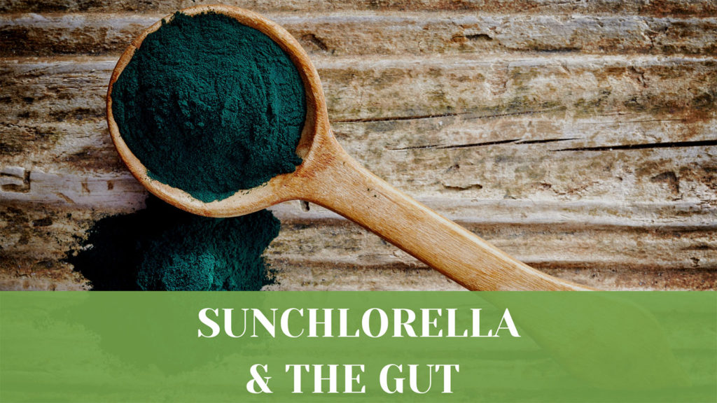 Sun Chlorella & its benefits for the gut!